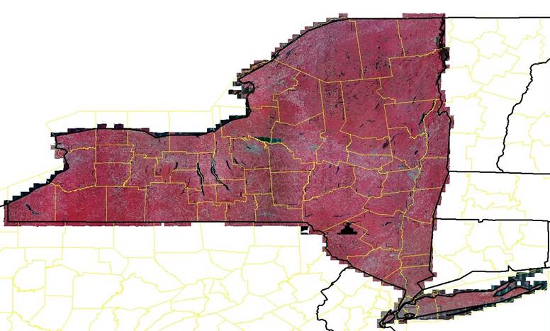 NAIP 2019 Orthoimagery Now Available for Download | NYS GIS Association